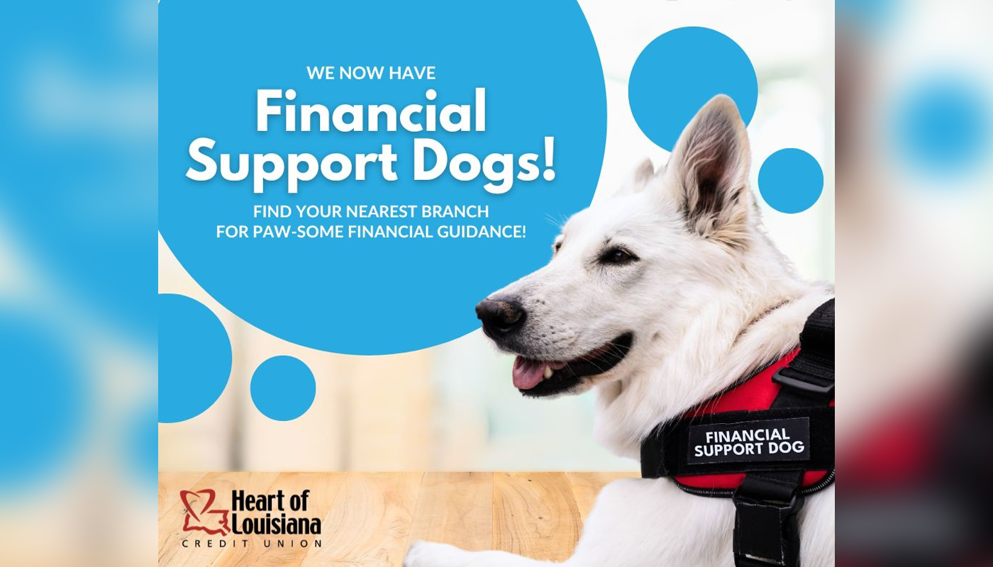 Meet Our Newest Team Members: Financial Support Dogs! - Heart of ...
